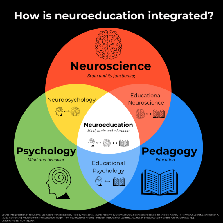 Neuroscience, Technology, and Education